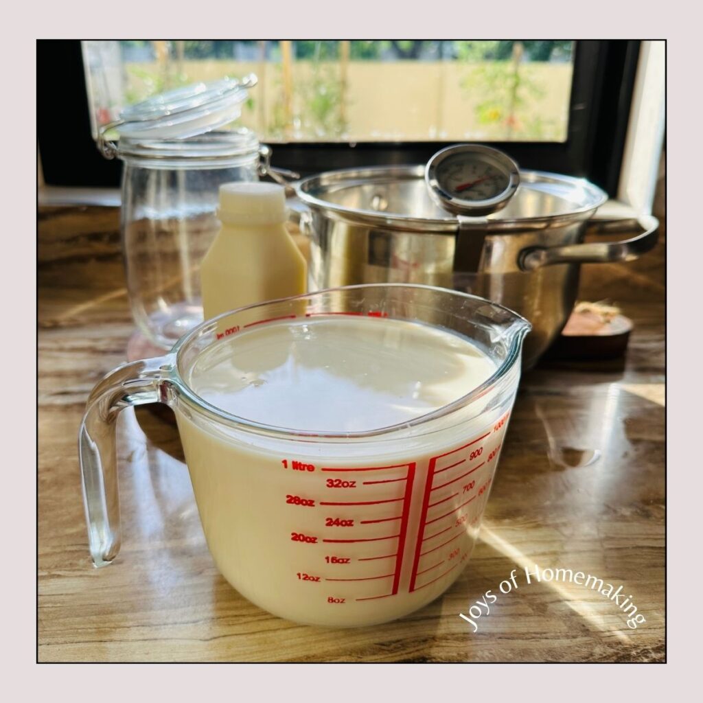 How to Make Homemade Yogurt- Foolproof Method