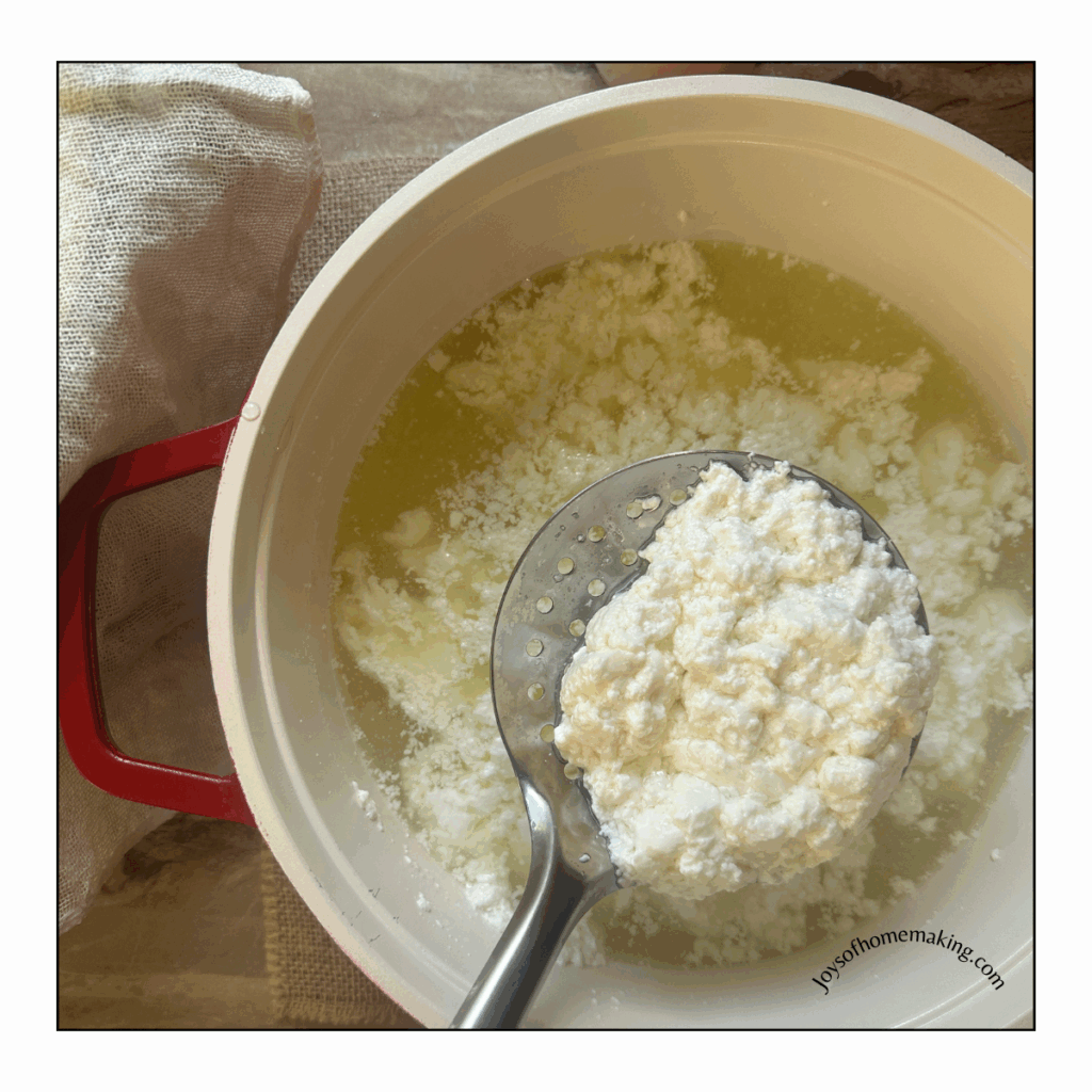 How to Make Homemade Mozzarella