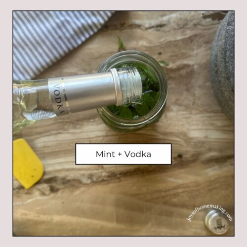 Homemade Mint Extract ( 2 Ingredients!)