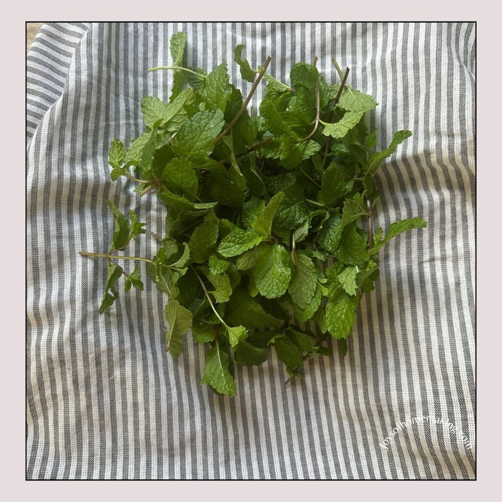 Homemade Mint Extract ( 2 Ingredients!)