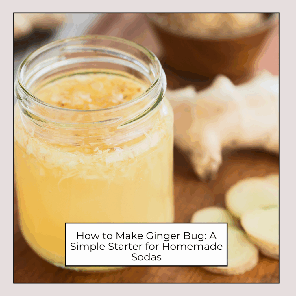 How to Make a Ginger Bug : A Simple Starter for Homemade Sodas