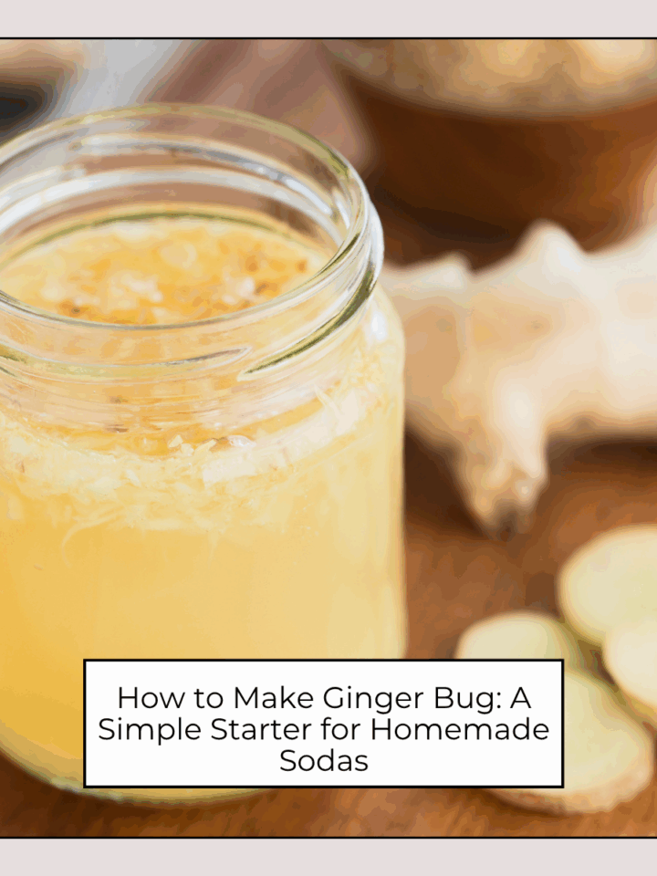 How to Make a Ginger Bug : A Simple Starter for Homemade Sodas