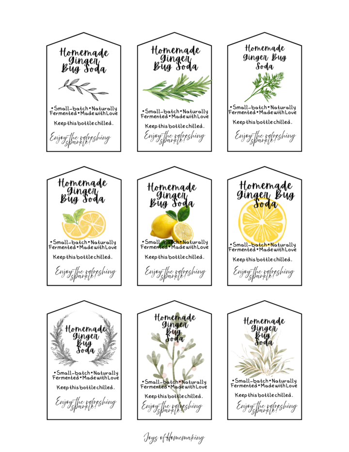 Homemade Probiotic Soda Using a Ginger Bug (Easy, Bubbly, & Good for ...