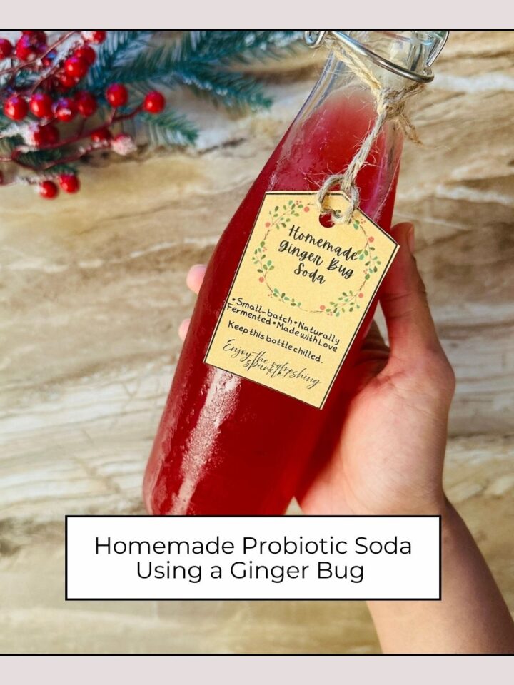 How to Make a Ginger Bug : A Simple Starter for Homemade Sodas