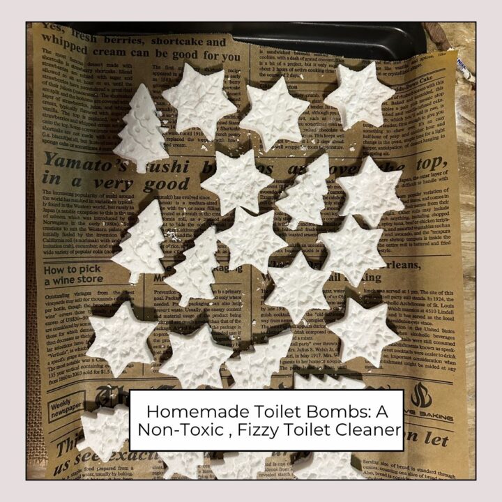 Homemade Toilet Bombs: A Non-Toxic, Fizzy Toilet Cleaner That Actually ...