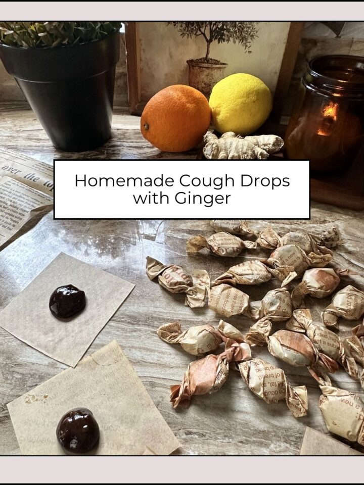 Homemade Probiotic Soda Using a Ginger Bug (Easy, Bubbly, & Good for ...